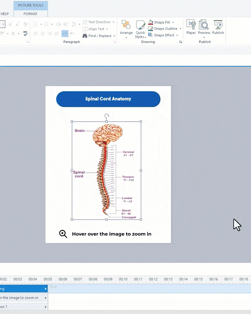 How to Add a Magnifying Glass to Your Storyline Images – eBlog